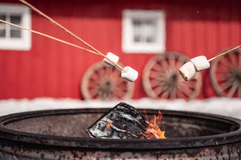 Banff: Family Friendly Horse-Drawn Sleigh Ride - Guides and Additional Experiences