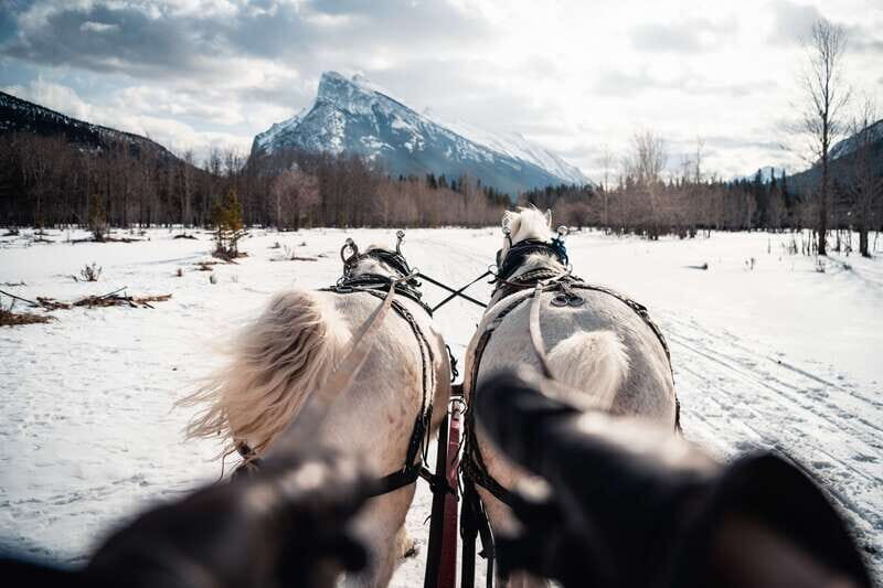 Banff: Family Friendly Horse-Drawn Sleigh Ride - Pricing and Value