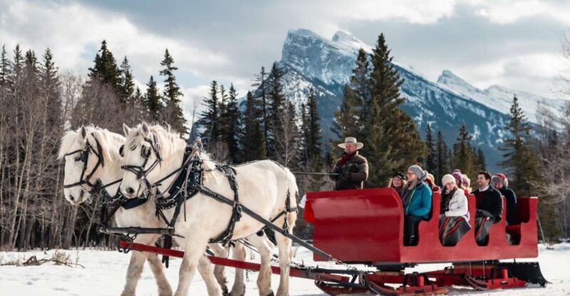 Banff: Family Friendly Horse-Drawn Sleigh Ride - Practical Tips for Your Sleigh Ride