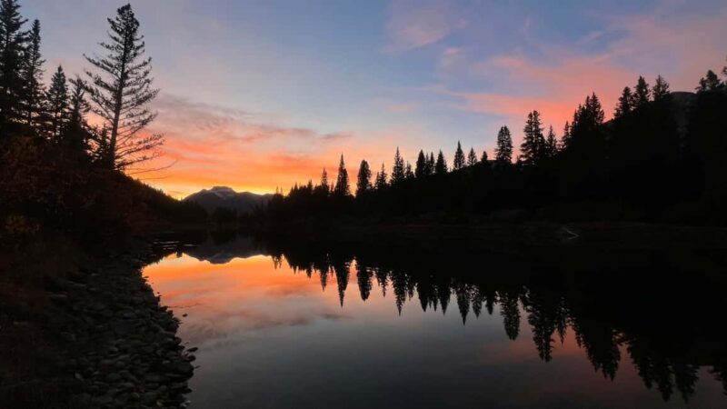 Banff: Grizzly Bear & Nature Walk & Hidden Gem Sunset Tour - Discovering Banff’s Wild Side: An Honest Breakdown
