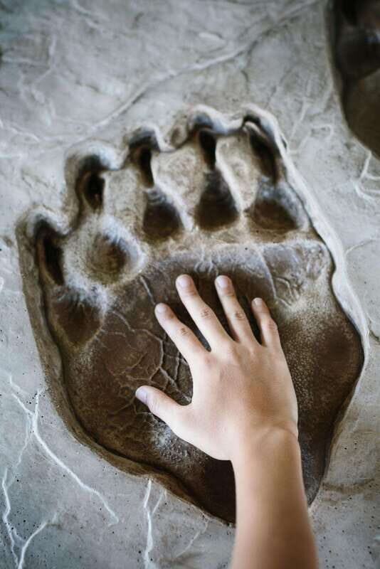 Banff: History Tour with Private Group Museum Tours + Entry - Value and Practical Details