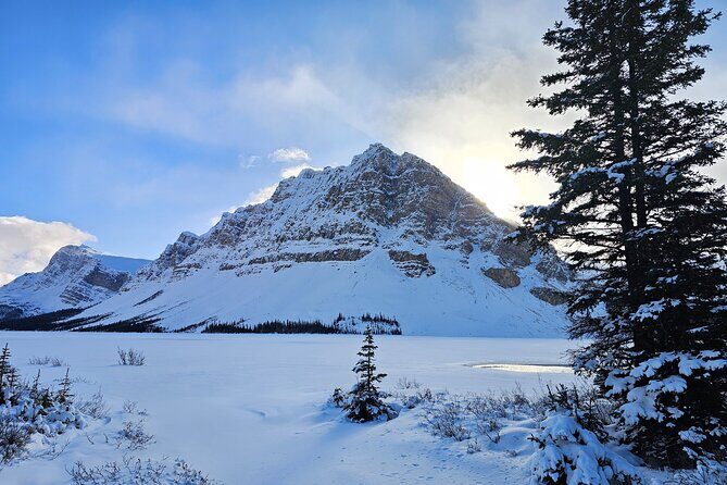 Banff, Icefield Pkwy Full Day Winter Wonderland Private Tour - What Travelers Love and Why
