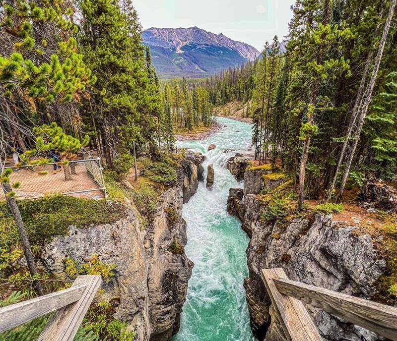 Banff: Lake Louise, Moraine, Emerald & Johnston Canyon Tour - Who Will Love This Tour?