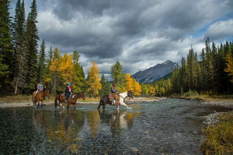 Banff National Park: 1-Hour Spray River Horseback Ride - What to Expect During the Ride