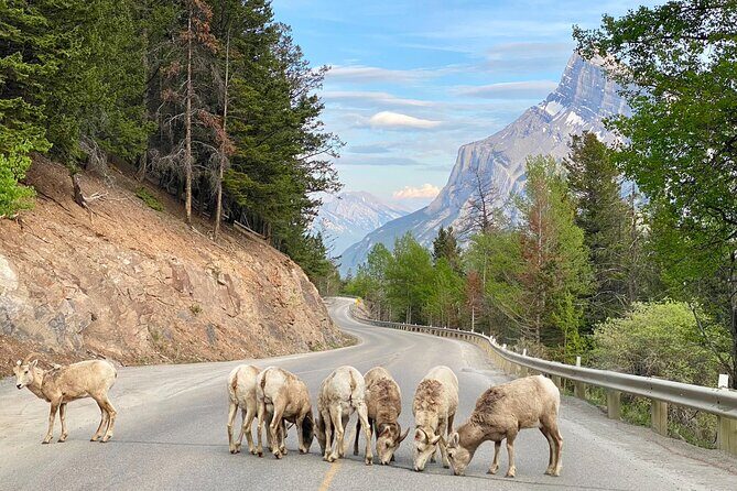 Banff National Park Exclusive Small Group Tour - The Sum Up: Who Will Love This Tour?