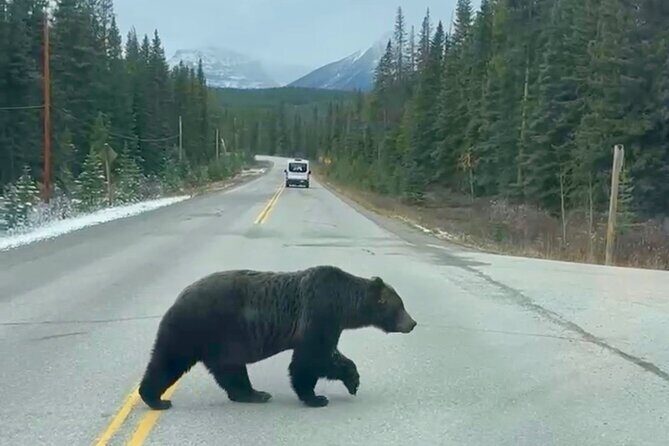 Banff National Park Exclusive Small Group Tour - FAQ