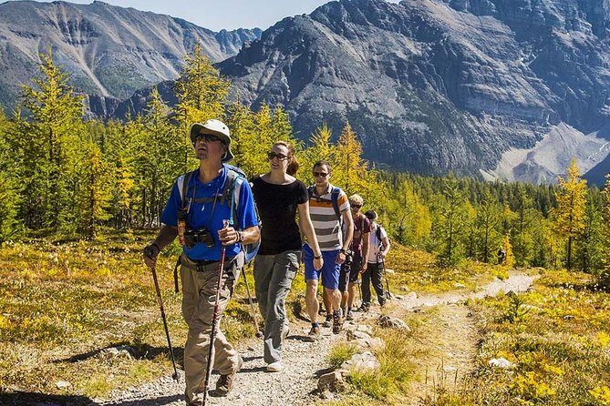 Banff National Park Guided Hike with Lunch - Practical Details and Tips