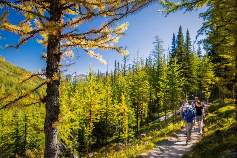 Banff National Park: Guided Signature Hikes with Lunch - The Tour Breakdown: What to Expect on Your Day in Banff