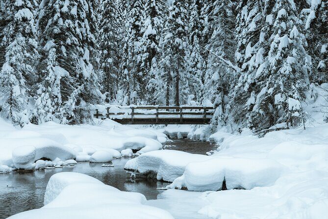 Banff National Park & Lake Louise FULL DAY PRIVATE TOUR - FAQ