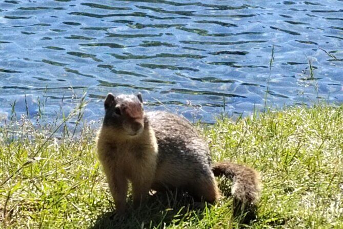 Banff National Park Moraine Lake and Lake Louise Explorer Tour - Price and Value