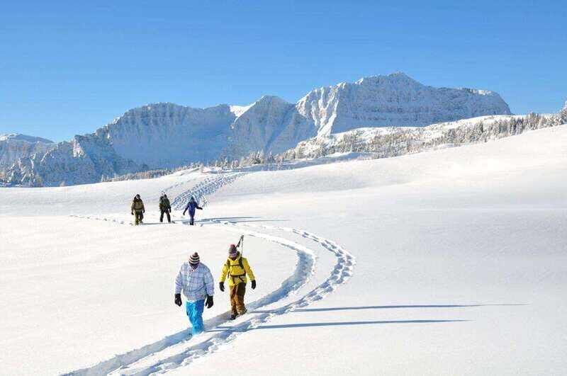 Banff National Park: Sunshine Meadows Snowshoeing Experience - In The Sum Up
