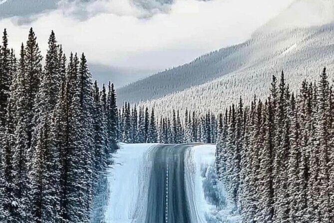 Banff National Park to Calgary Private Transportation - A Detailed Look at the Private Transfer Experience