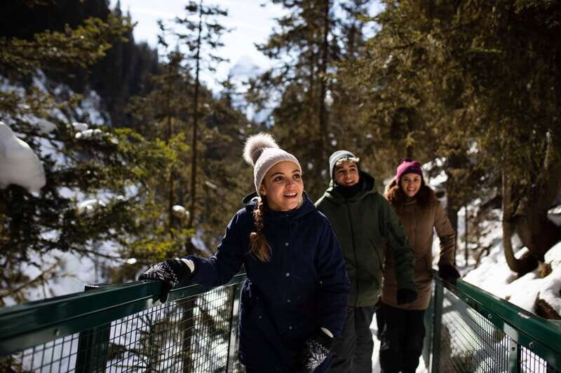 Banff: Premium Johnston Canyon Frozen Falls Guided Adventure - Practical Details and Tips