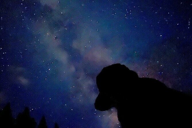 Banff Sunset and Stargazing Tour - 2hr Walking Tour - FAQs