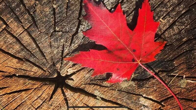 Banff Town: Guided Town Walking Tour with Snack - Who Should Consider This Tour?