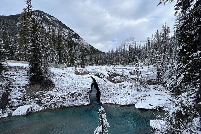Banff, Yoho, and Icefield Parkway Private Tour - What Makes This Tour Stand Out?