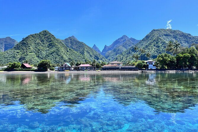 Baptism diving in the turquoise waters of Tahiti - Who Will Love This Experience?