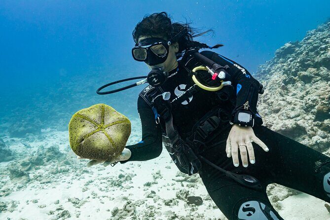 Baptism: introductory dive at Moorea Fun Dive - FAQ