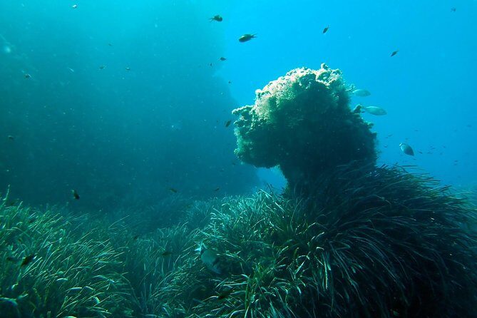 Baptism of diving from boat - The Itinerary and What to Expect
