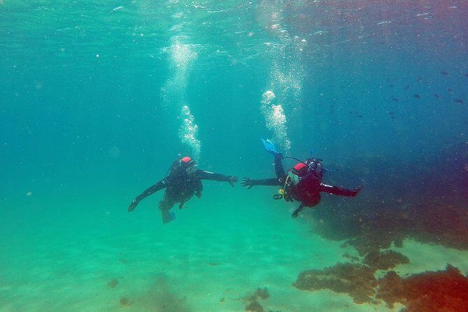 Baptism of diving in the Natural Park of the Strait - The Cost and Value
