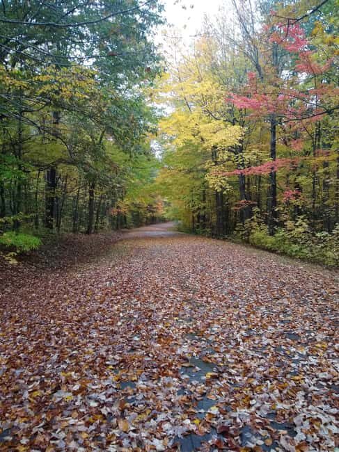 Bar Harbor: Acadia National Park Autumn Leaf Private Tour - An In-Depth Look at the Acadia Autumn Leaf Private Tour