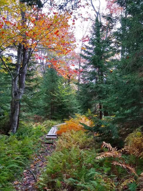 Bar Harbor: Acadia National Park Autumn Leaf Private Tour - Final Thoughts