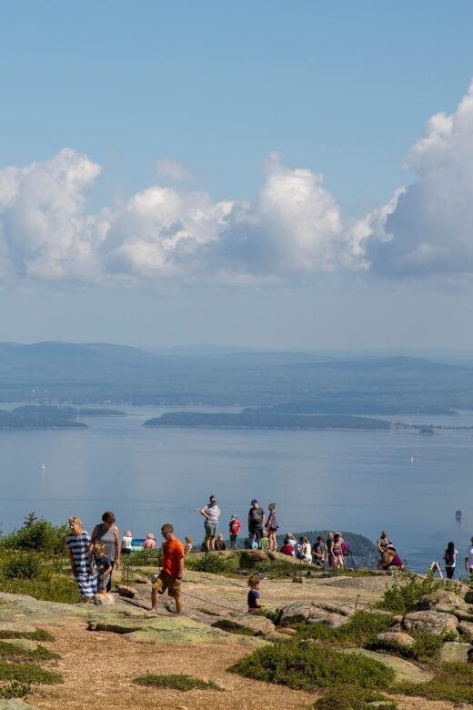 Bar Harbor: Acadia National Park Customizable Private Tour - Key Points