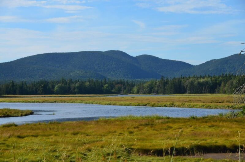 Bar Harbor: Acadia National Park Customizable Private Tour - Final The Sum Up