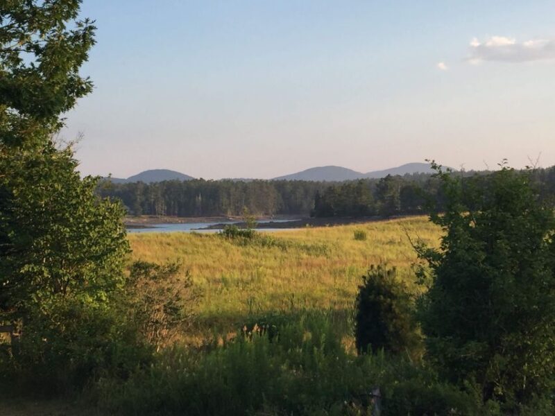 Bar Harbor: Acadia National Park Private Tour with Lunch - The Sum Up