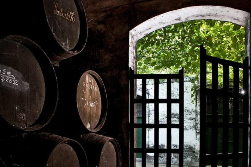 Barbadillo Winery Guided Tour in Cadiz with Wine Tasting - Introduction: Discovering the Charm of Cadiz’s Wine Heritage