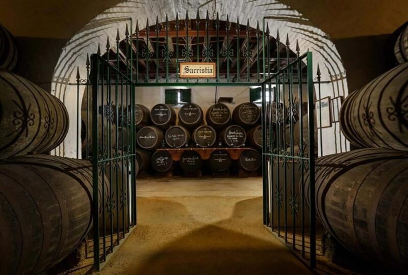 Barbadillo Winery Guided Tour in Cadiz with Wine Tasting - The Experience in Detail: Analyzing Value & Practicalities