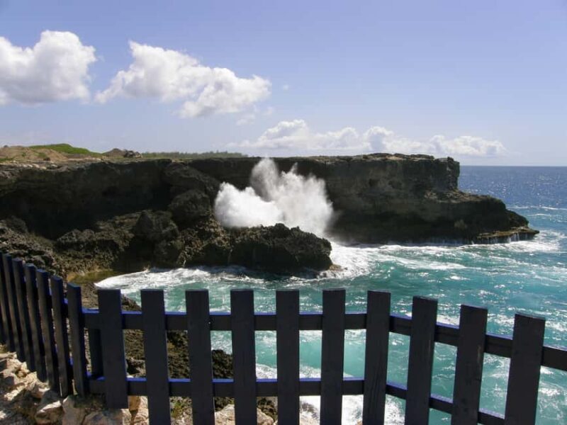 Barbados: Coastal Sightseeing Tour with Lunch and Transfers - Practical Tips for Travelers