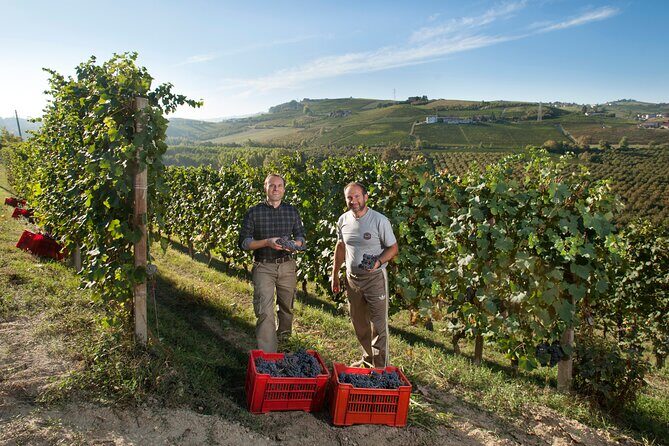 Barbaresco and Barolo Tasting at Cantina Francone - What Reviewers Say