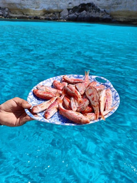 barca liliana ( caligola1) - What Reviewers Say: Authentic Insights