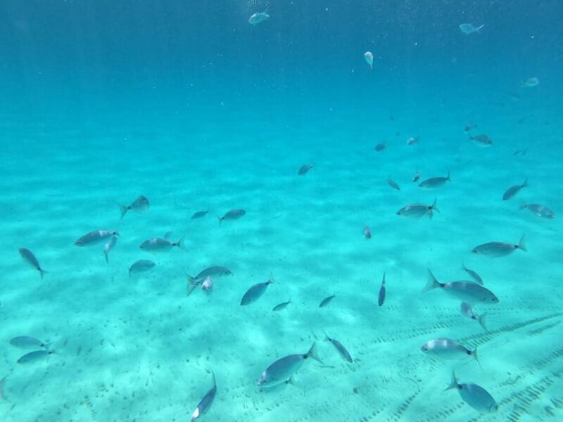 barca liliana ( caligola1) - Who Should Book This Tour?