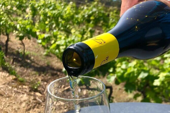 BarCa Winery Cinqueterre Trekking & Wine Tasting & Pesto Class - What Is the Experience All About?