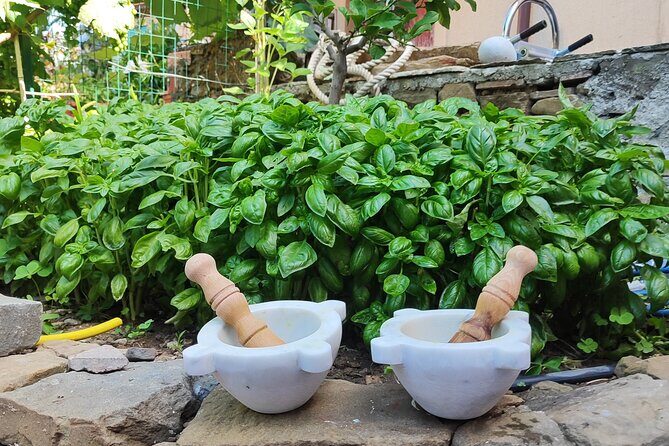 BarCa Winery Cinqueterre Trekking & Wine Tasting & Pesto Class - Authenticity & Guest Experience