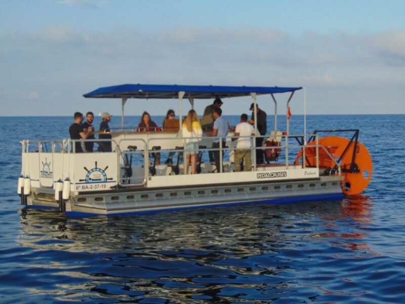 Barcelona: 1.5-Hour Private Scenic Pedal Boat Tour - Setting the Scene: What You Can Expect from This Pedal Boat Tour