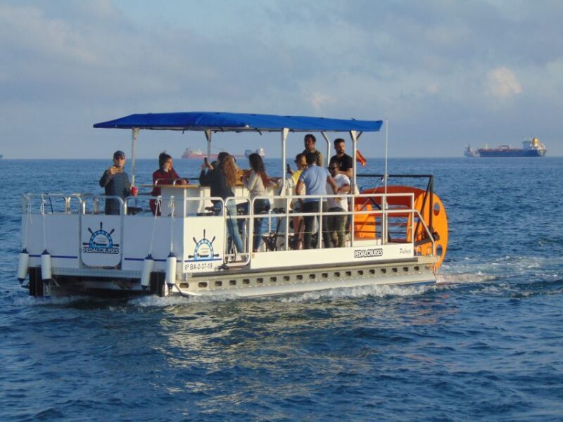 Barcelona: 1.5-Hour Private Scenic Pedal Boat Tour - Practical Details and Booking Info