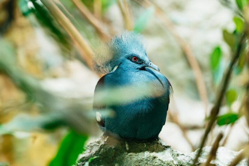 Barcelona: 1-Day Ticket to Barcelona Zoo - Location and Accessibility