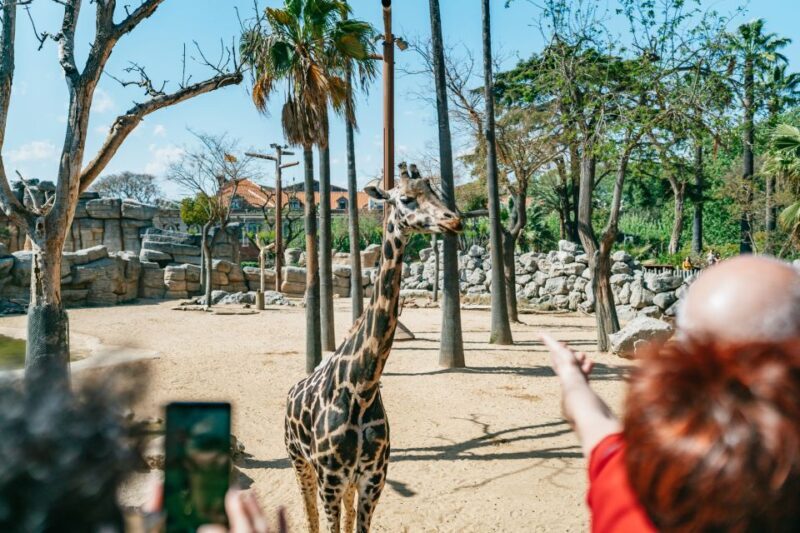 Barcelona: 1-Day Ticket to Barcelona Zoo - Price and Value Analysis