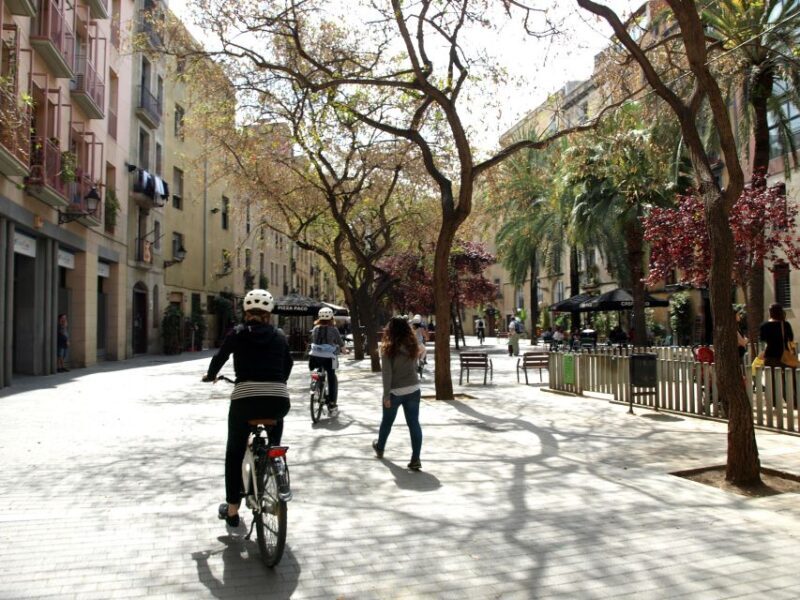 Barcelona 3 Hour Daily Electric Bike Tour - The Experience in Detail