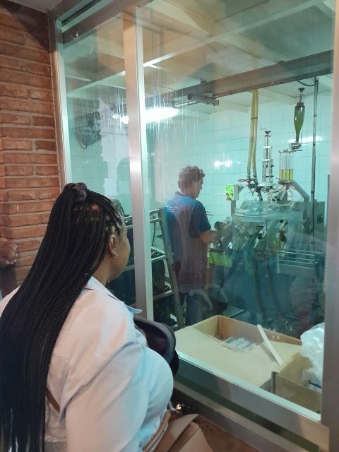 Barcelona: 3 Penedes Wineries with Hotel Pick-up and Lunch - Key Points