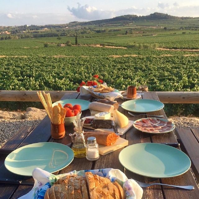 Barcelona: 3 Penedes Wineries with Hotel Pick-up and Lunch - FAQs