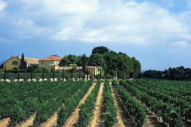 Barcelona Airport, Cuise Port or City Hotels Private Transfer - Why Choose This Transfer Service?