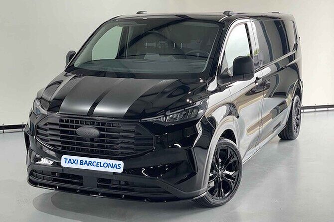 Barcelona airport private van transfer to barcelona city - Who is This Service Best For?