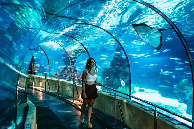 Barcelona Aquarium: Entry Ticket - Practical Details and Visitor Tips