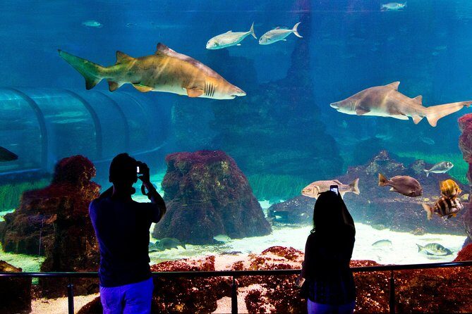 Barcelona Aquarium Skip the Line Ticket - Frequently Asked Questions