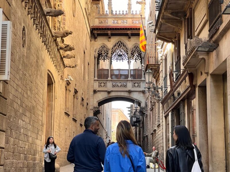Barcelona: Barri Gotic Small Group Walking Tour - Key Points