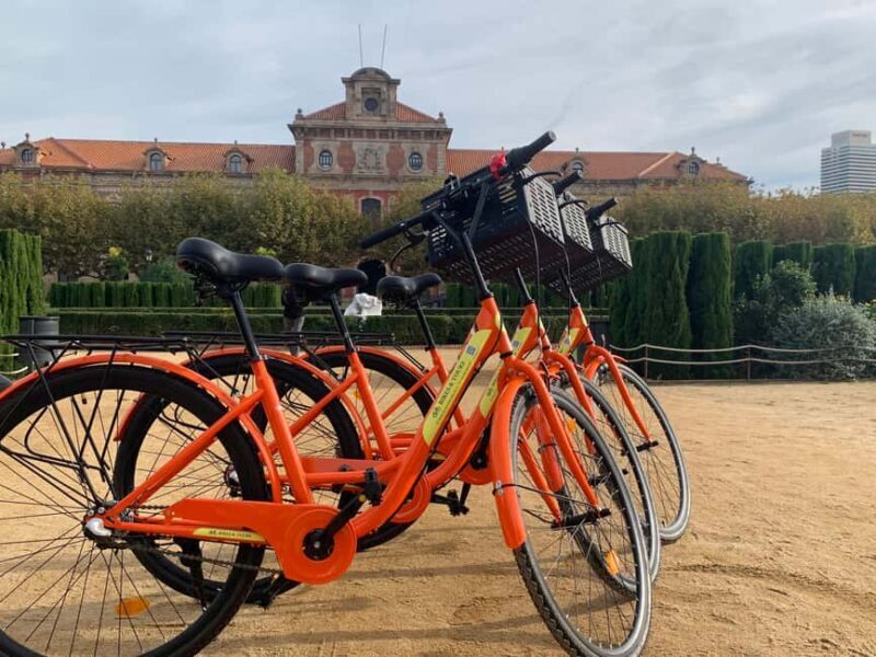 Barcelona Bike Tour: Iconic Sights & Hidden Spots - What Makes This Bike Tour Special?